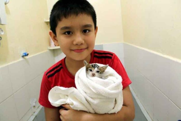 Un garçon de 9 ans utilise son argent de poche pour nourrir les chiens ...