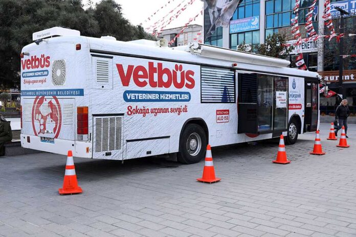 Ces vétérinaires voyagent en bus pour soigner les chiens et les chats ...