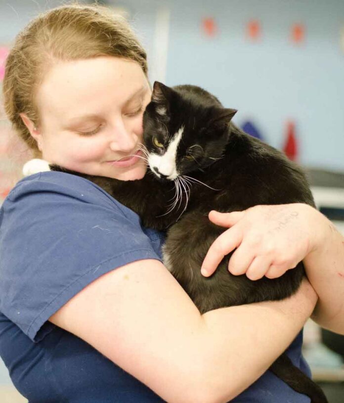 Ce doux chat d'un refuge donne des câlins à tous ceux qu'il rencontre ...