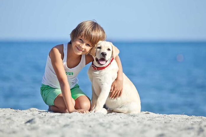 Les meilleures races de chiens pour les enfants - Chats et Chiens