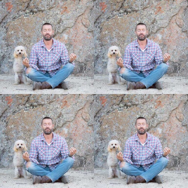 Cora la caniche et son rétablissement remarquable - Chats et Chiens