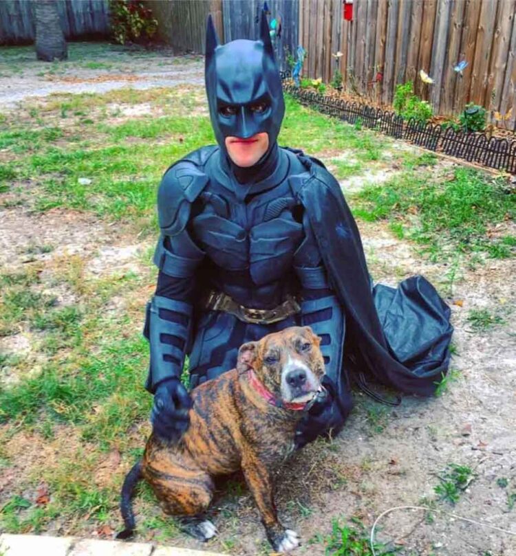 Ce Batman réel est en mission pour sauver les animaux sans-abri - Chats ...