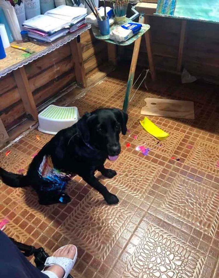 Ce chien d'assistance a une façon si douce d'aider sa meilleure amie ...