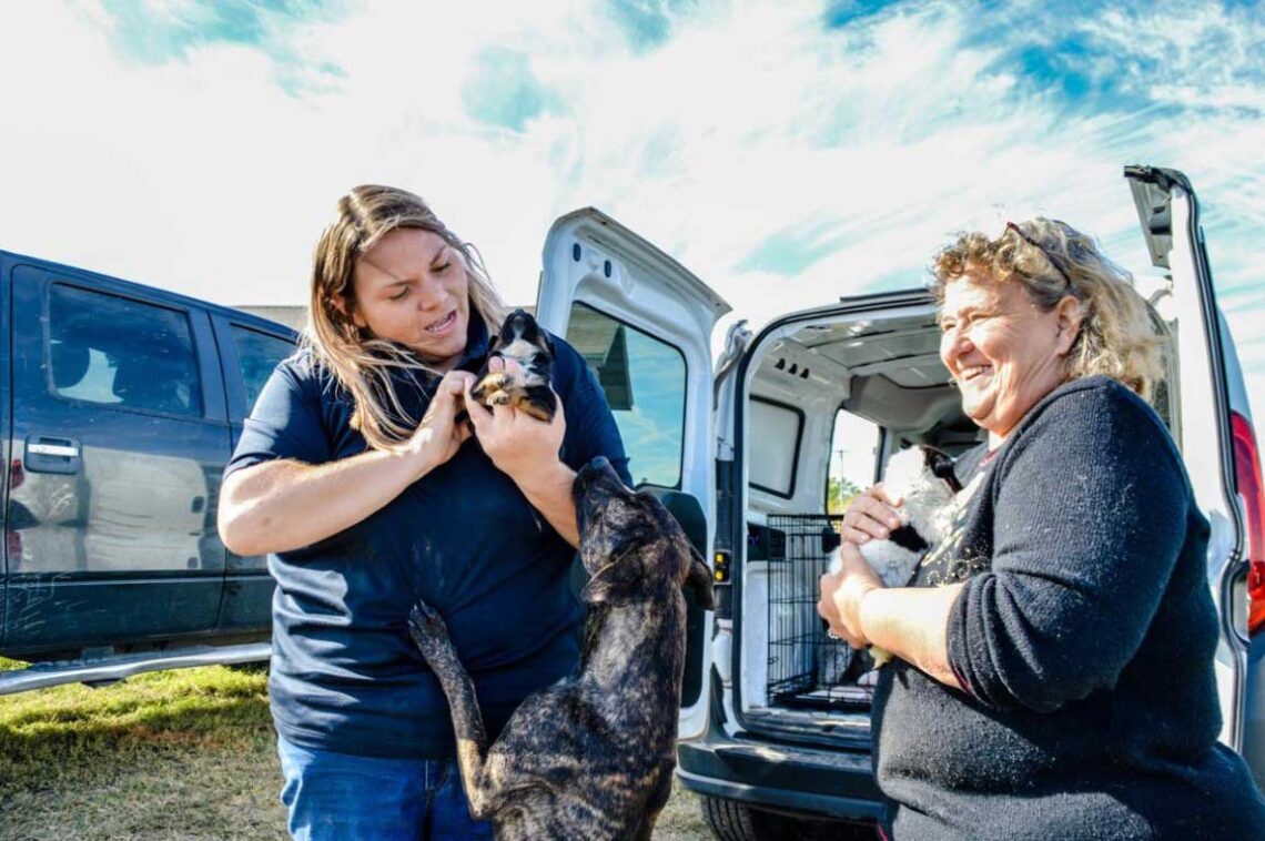 En 5 mois, cette femme a fait passer le taux d’euthanasie des chiens de ...
