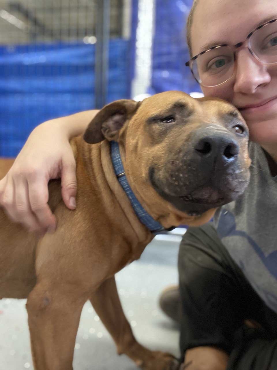 Une jeune femme adapte une charrette pour transporter son chien secouru ...