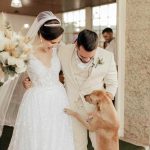 Un chien sans abri se présente au mariage d'un couple et fait partie de ...