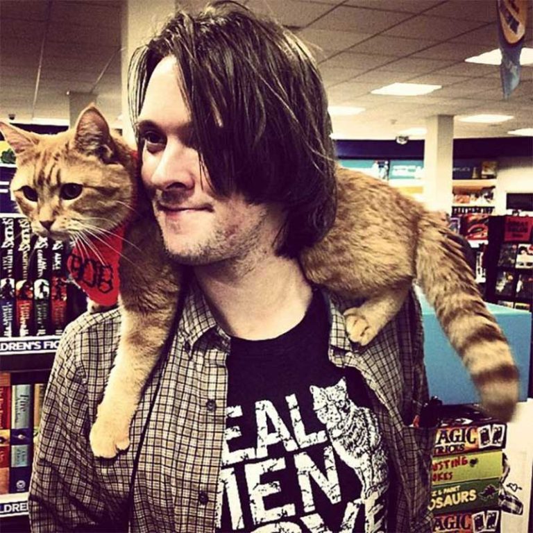 Bob le chat, dont les exploits sont devenus un livre qui a changé la ...