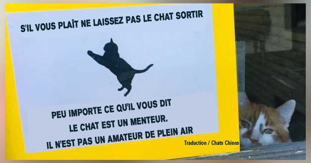 Ce chat sournois a tenté de s'échapper tellement de fois que la famille ...