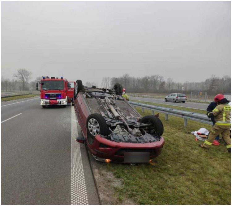 Il s'est précipité pour sauver un chaton sur l'autoroute. Il dit que ça ...